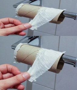 The end of toilet paper? Which could soon replace our usual rolls ...