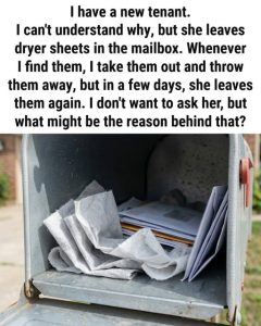 What It Means If You Find a Dryer Sheet in Your Mailbox – Best Recipes